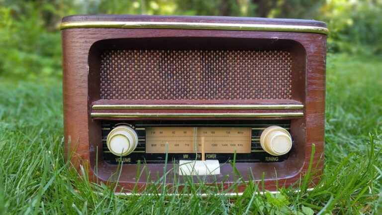 The Evolution of Radio and Music: From Traditional Airwaves to Modern ...